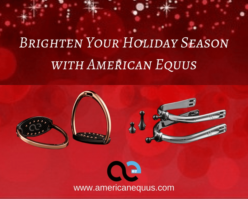 AMERICAN EQUUS HAS THE PERFECT STOCKING STUFFERS FOR COMPETITIVE EQUES ...