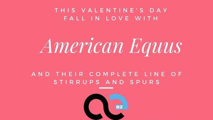 FALL IN LOVE WITH AMERICAN EQUUS – American Equus