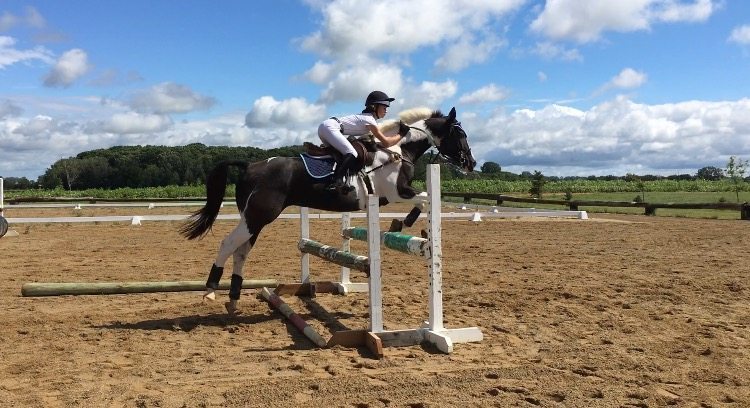 ISABELLA PHILLIPS – American Equus