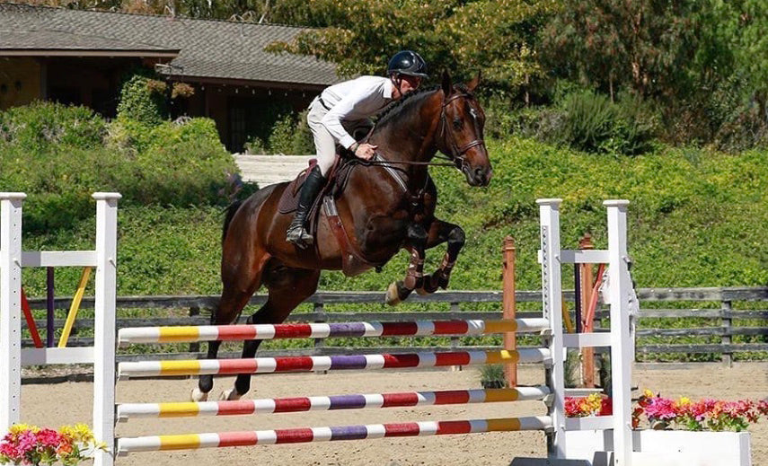 SIMON SCHRÖEDER – American Equus